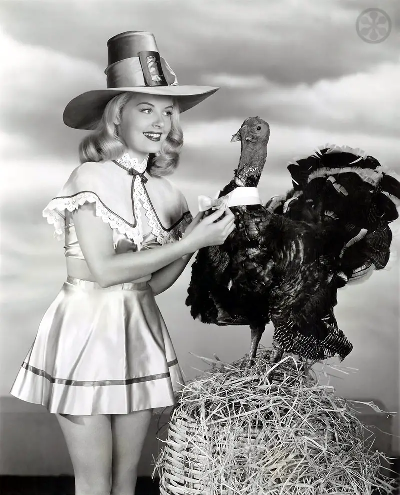 Turkey & Breasts. Vintage Hollywood Thanksgiving PinUps. Turkey & Breasts. Vintage Hollywood Thanksgiving PinUps.