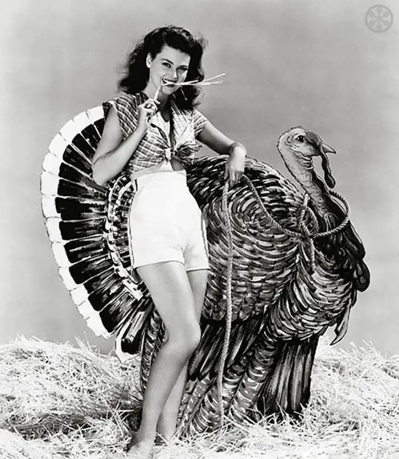 Turkey & Breasts. Vintage Hollywood Thanksgiving PinUps. Turkey & Breasts. Vintage Hollywood Thanksgiving PinUps.