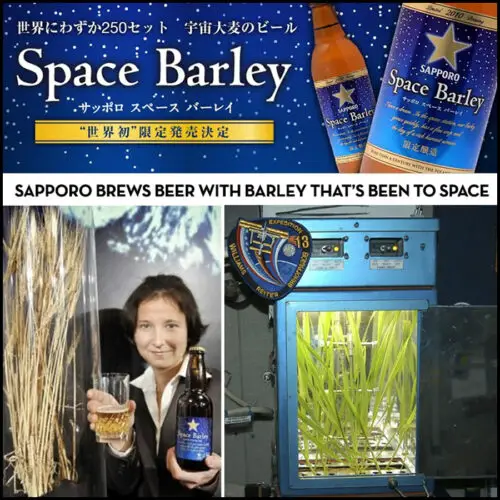 If It's Hip It's Here | The latest in global design and creativity