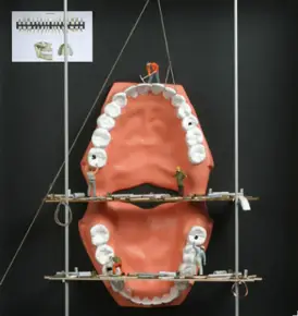 If It's Hip It's Here | The latest in global design and creativity