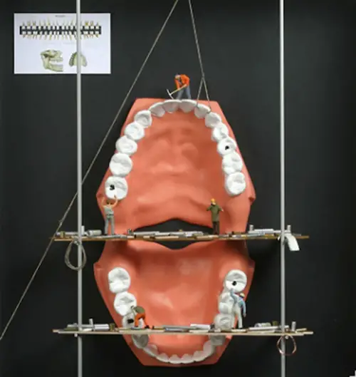 If It's Hip It's Here | The latest in global design and creativity