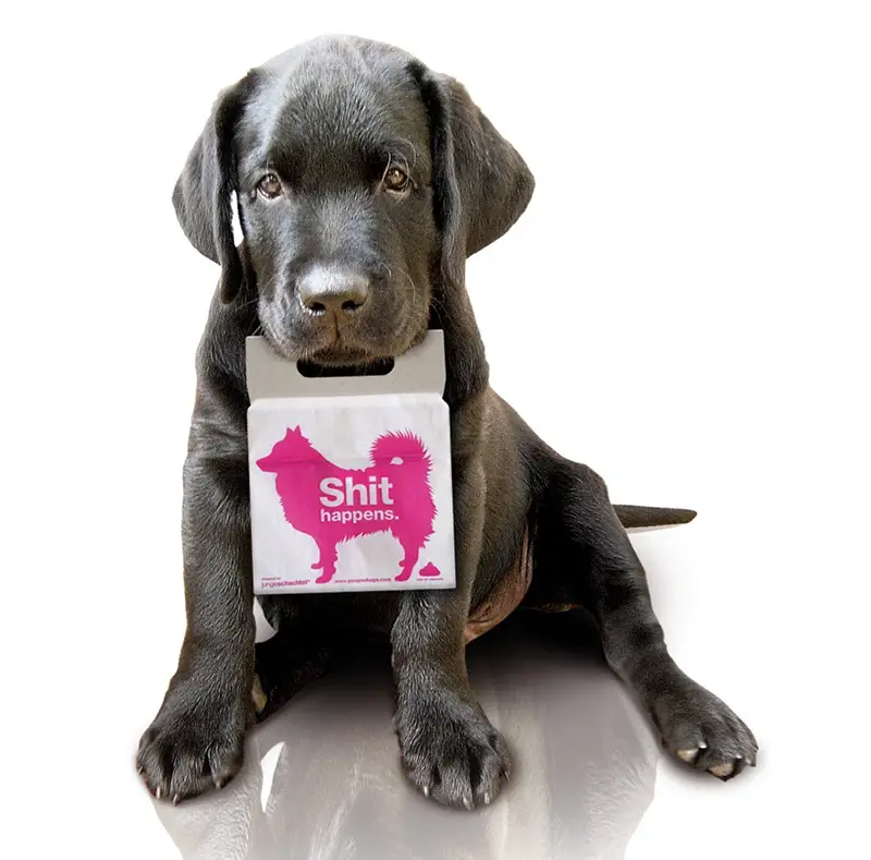 If It's Hip It's Here | The latest in global design and creativity