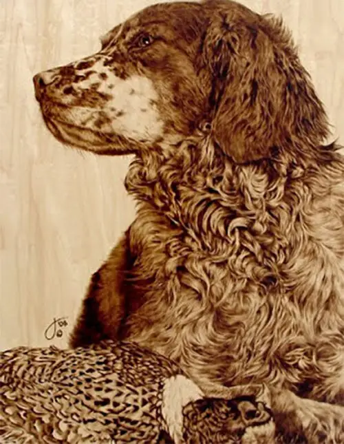 If It's Hip It's Here | The latest in global design and creativity