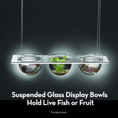 If It's Hip It's Here | The latest in global design and creativity