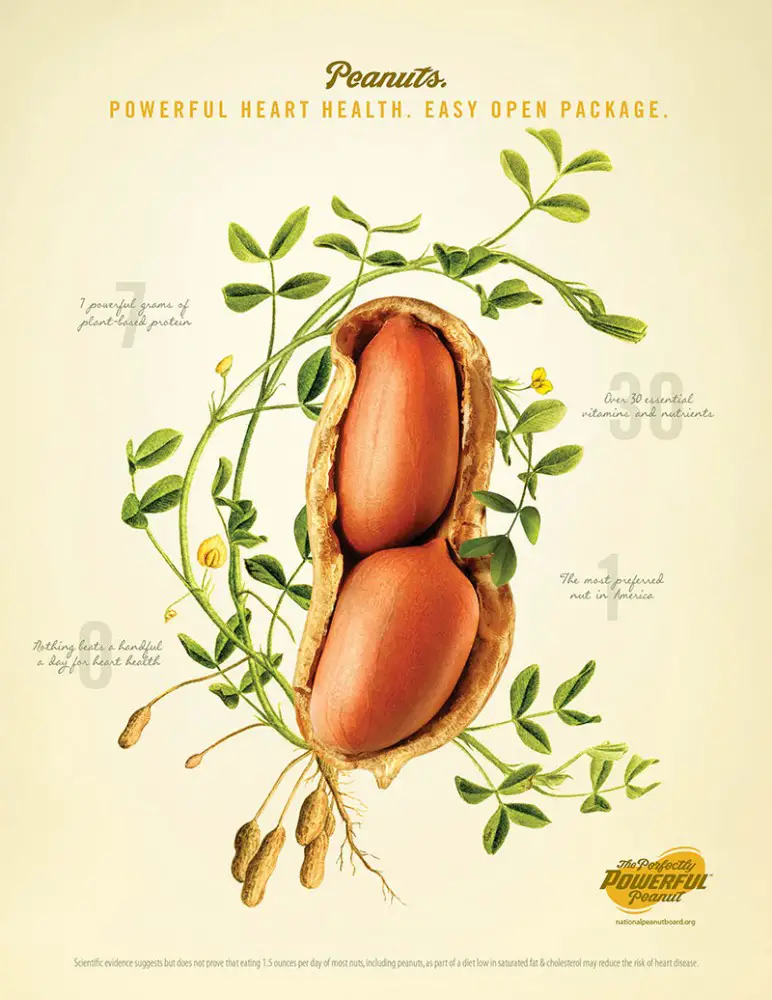 If It's Hip It's Here | The latest in global design and creativity