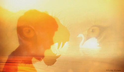 If It's Hip It's Here | The latest in global design and creativity