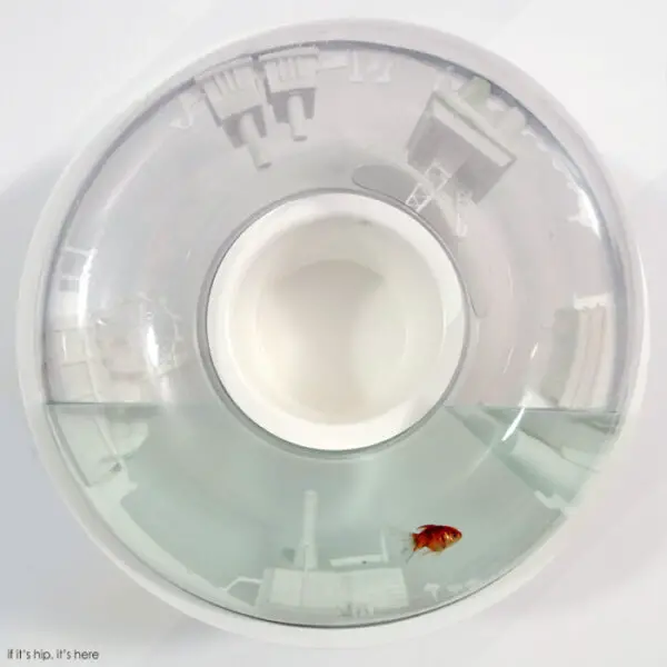 If It's Hip It's Here | The latest in global design and creativity