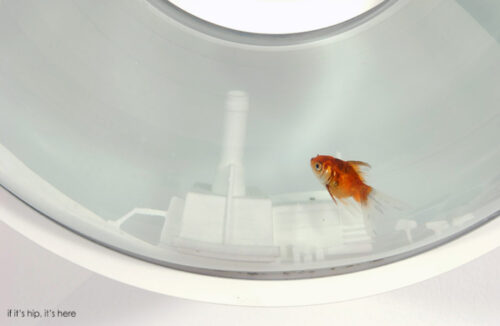 If It's Hip It's Here | The latest in global design and creativity