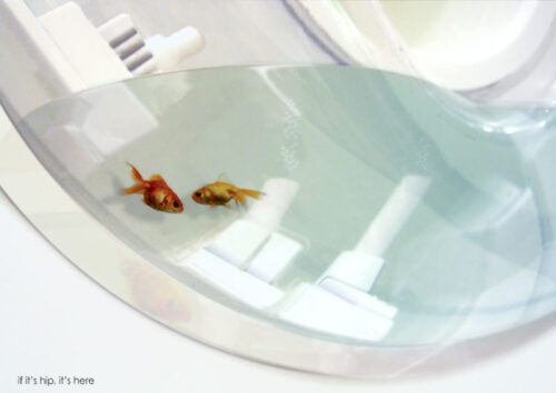 If It's Hip It's Here | The latest in global design and creativity