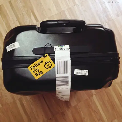 If It's Hip It's Here | The latest in global design and creativity