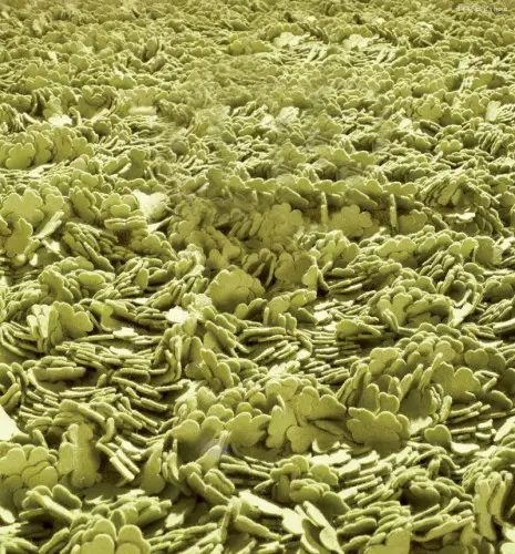 If It's Hip It's Here | The latest in global design and creativity