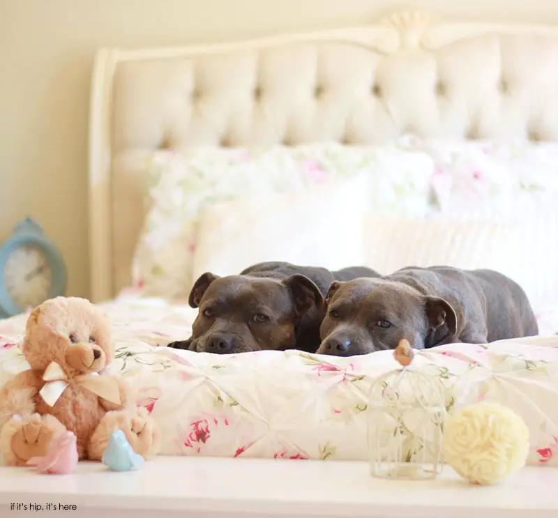 If It's Hip It's Here | The latest in global design and creativity