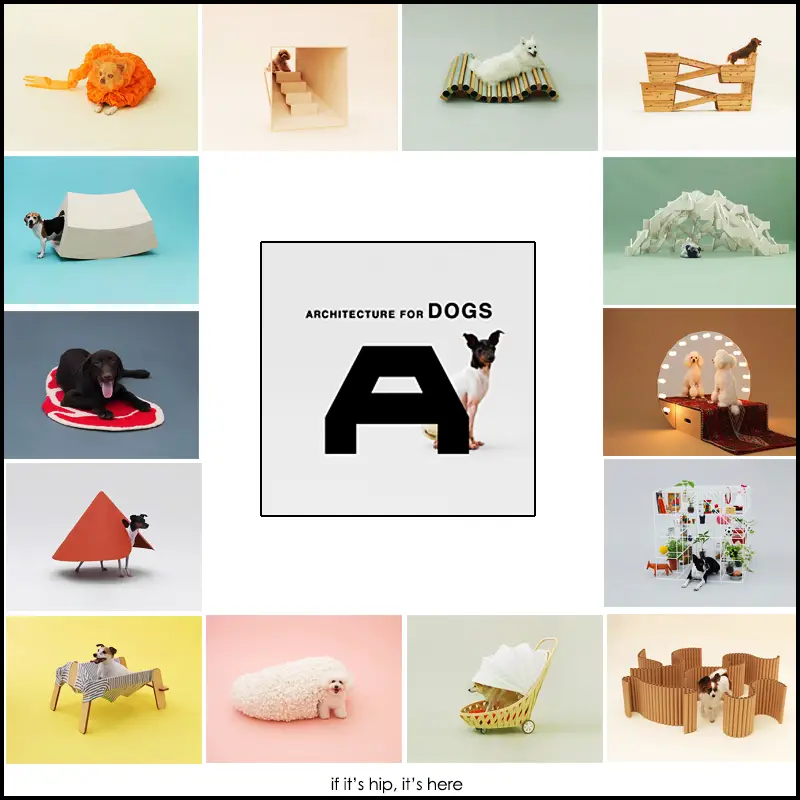 14 Examples of Architecture For Dogs and The Blueprints To Make Them ...