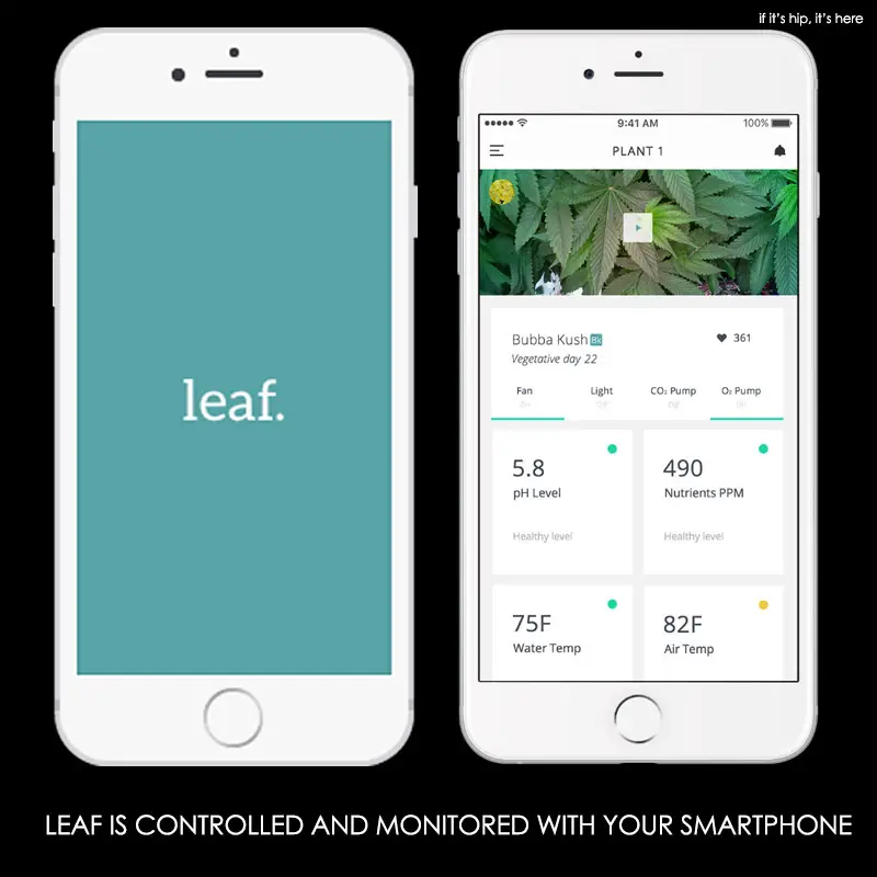 If It's Hip It's Here | The latest in global design and creativity