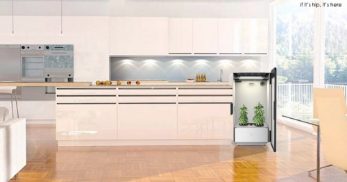 If It's Hip It's Here | The latest in global design and creativity