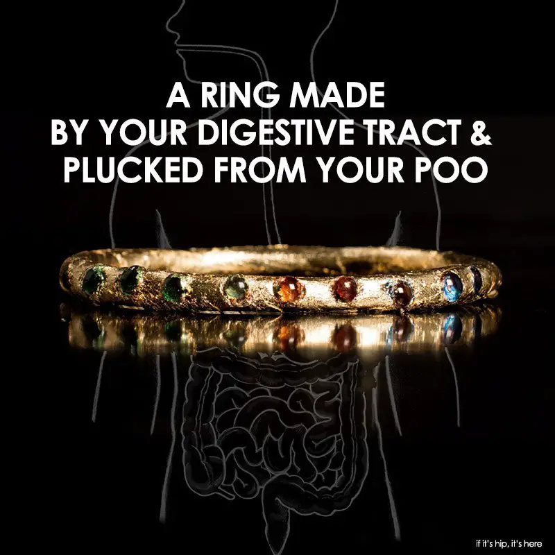 poo ring Archives | If It's Hip, It's Here
