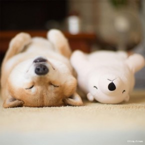 If It's Hip It's Here | The latest in global design and creativity