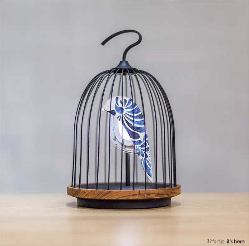 This Caged Bird Sings. And Provides Light. Meet JinGoo. – if it's hip ...