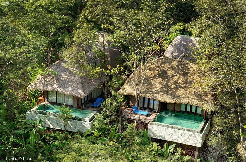 If It's Hip It's Here | The latest in global design and creativity