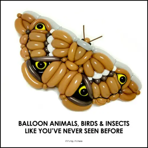 If It's Hip It's Here | The latest in global design and creativity