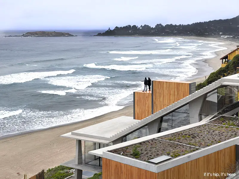 If It's Hip It's Here | The latest in global design and creativity