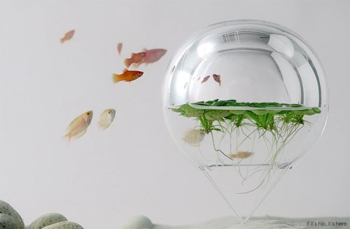 If It's Hip It's Here | The latest in global design and creativity