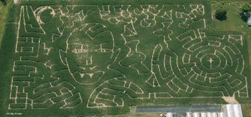 If It's Hip It's Here | The latest in global design and creativity