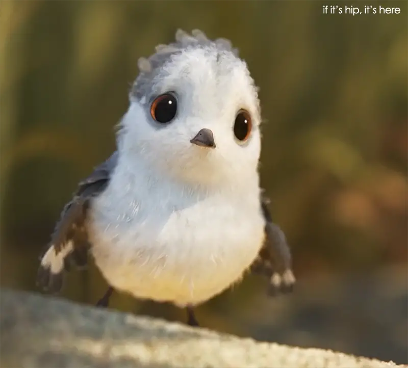 If It's Hip It's Here | The latest in global design and creativity