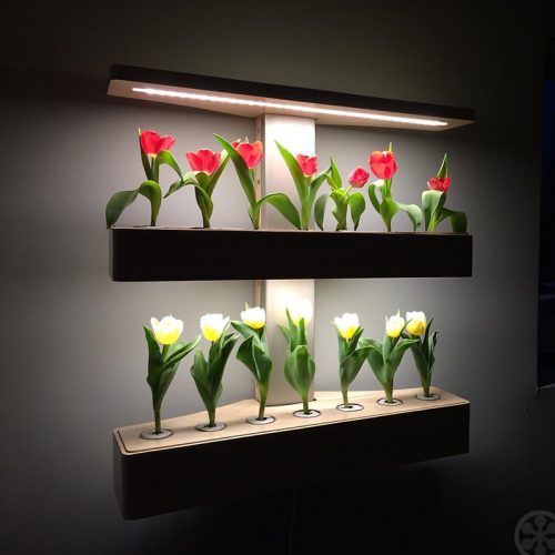 If It's Hip It's Here | The latest in global design and creativity