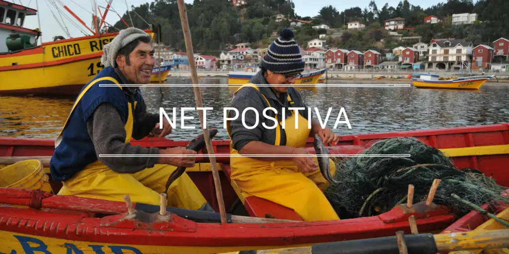 If It's Hip It's Here | The latest in global design and creativity