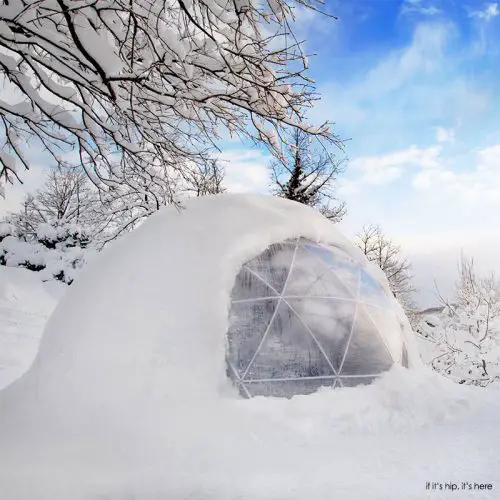 If It's Hip It's Here | The latest in global design and creativity