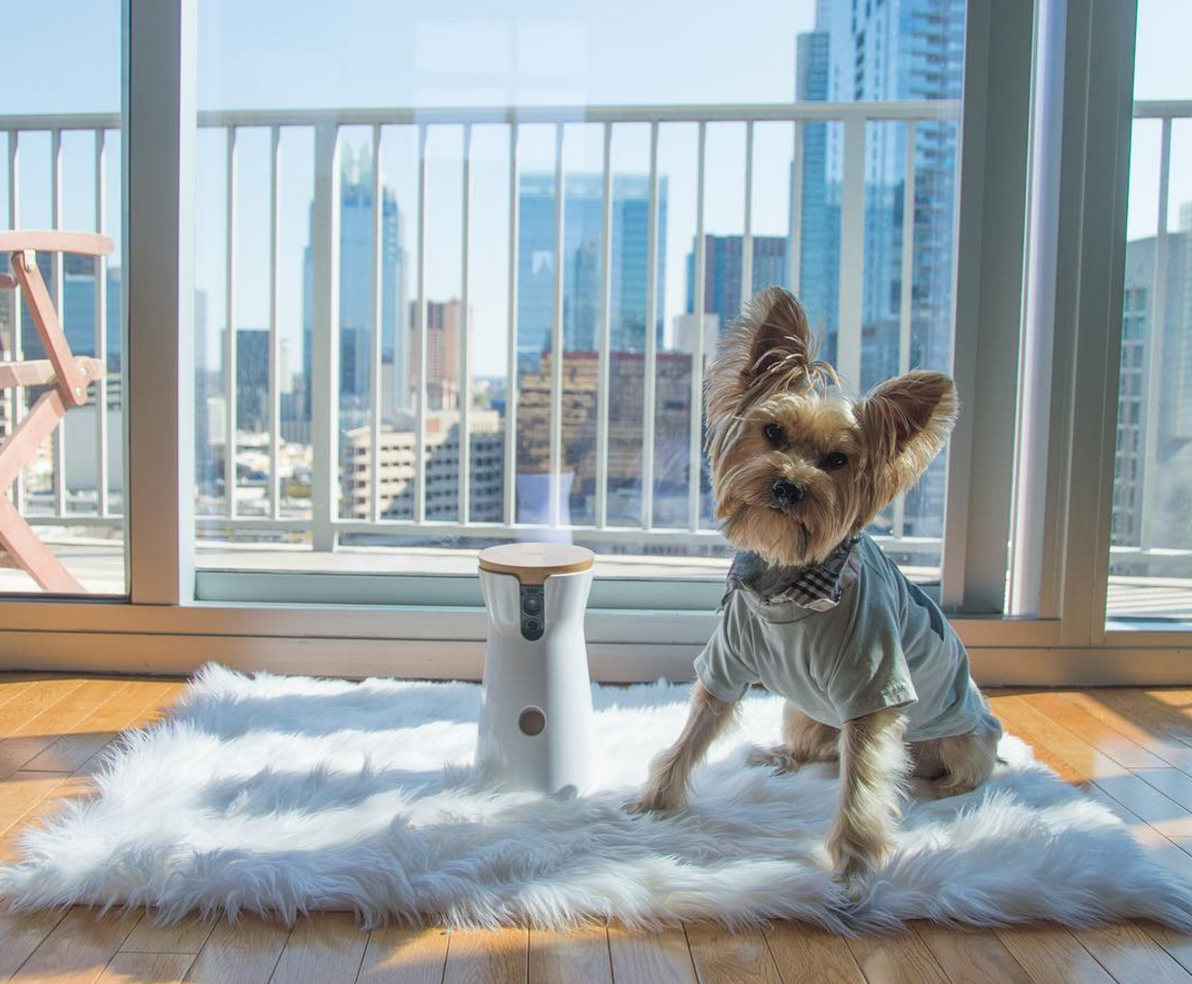 If It's Hip It's Here | The latest in global design and creativity