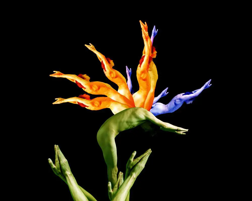 If It's Hip It's Here | The latest in global design and creativity