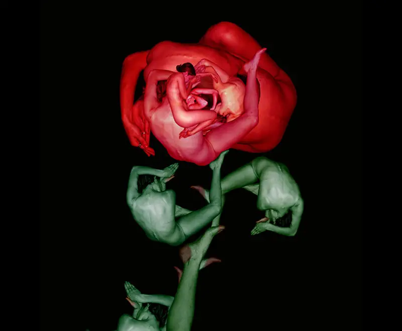 If It's Hip It's Here | The latest in global design and creativity