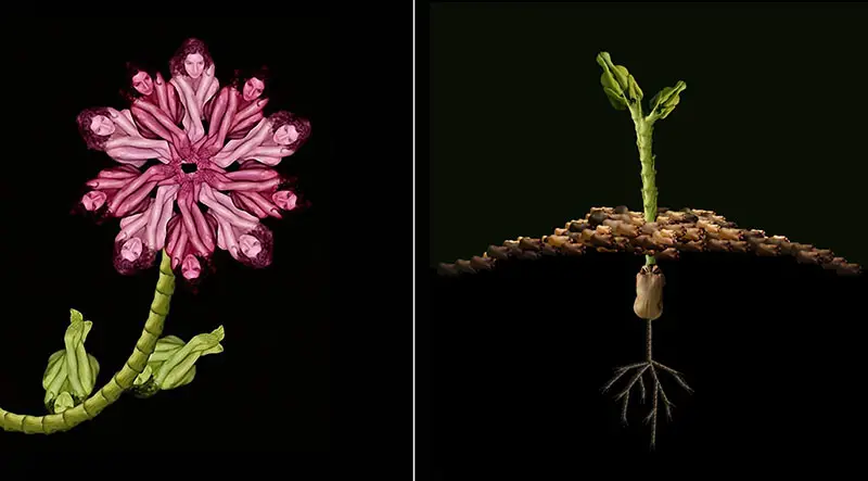 If It's Hip It's Here | The latest in global design and creativity