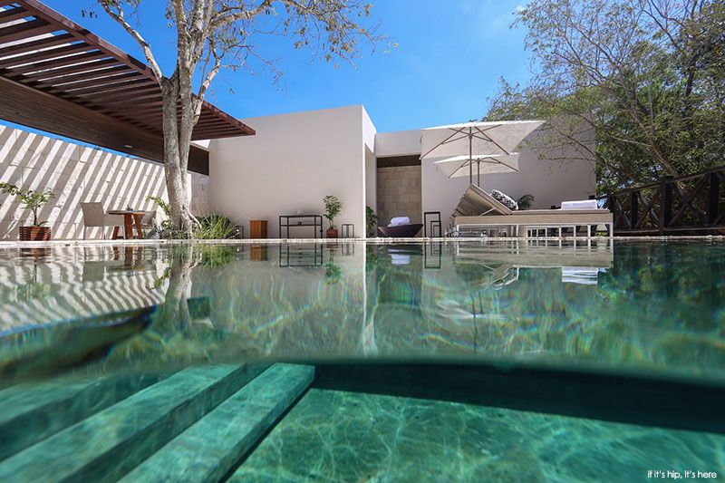 If It's Hip It's Here | The latest in global design and creativity