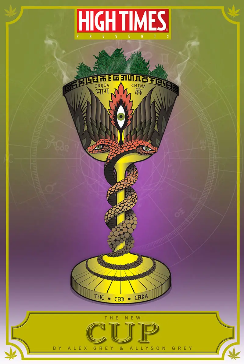 If It's Hip It's Here | The latest in global design and creativity