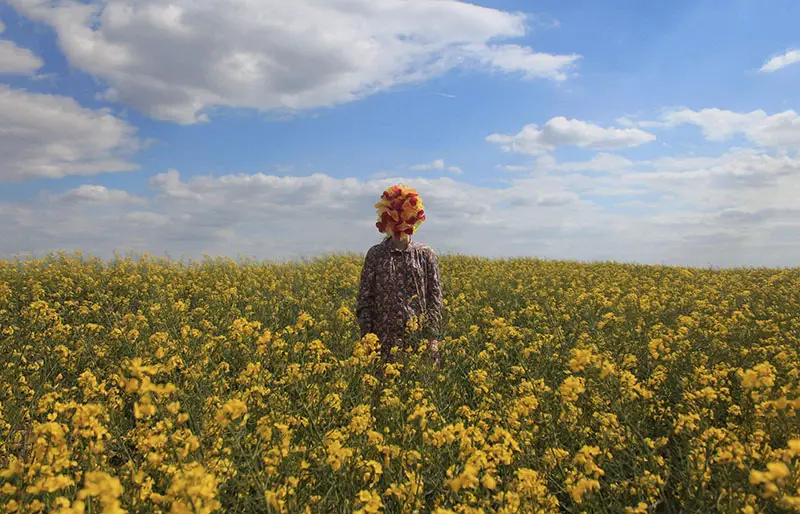 If It's Hip It's Here | The latest in global design and creativity