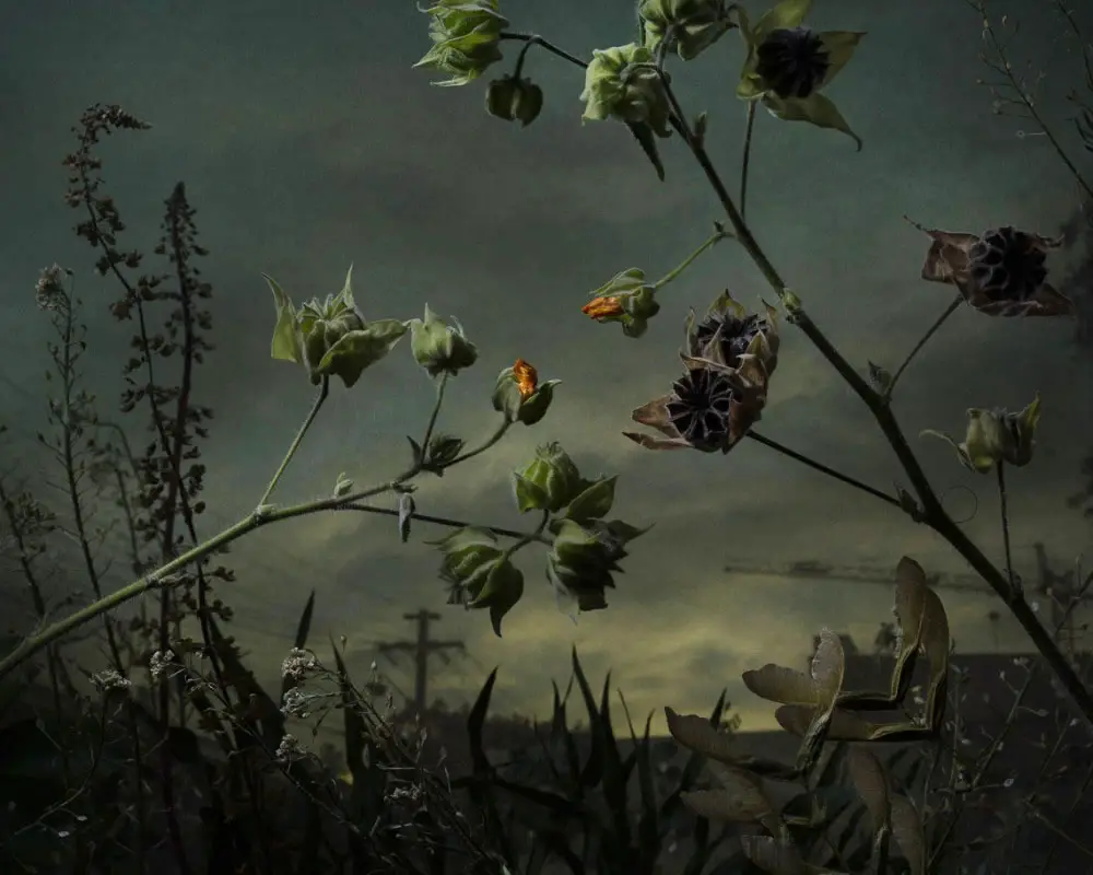 If It's Hip It's Here | The latest in global design and creativity