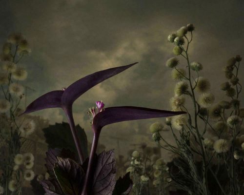 If It's Hip It's Here | The latest in global design and creativity