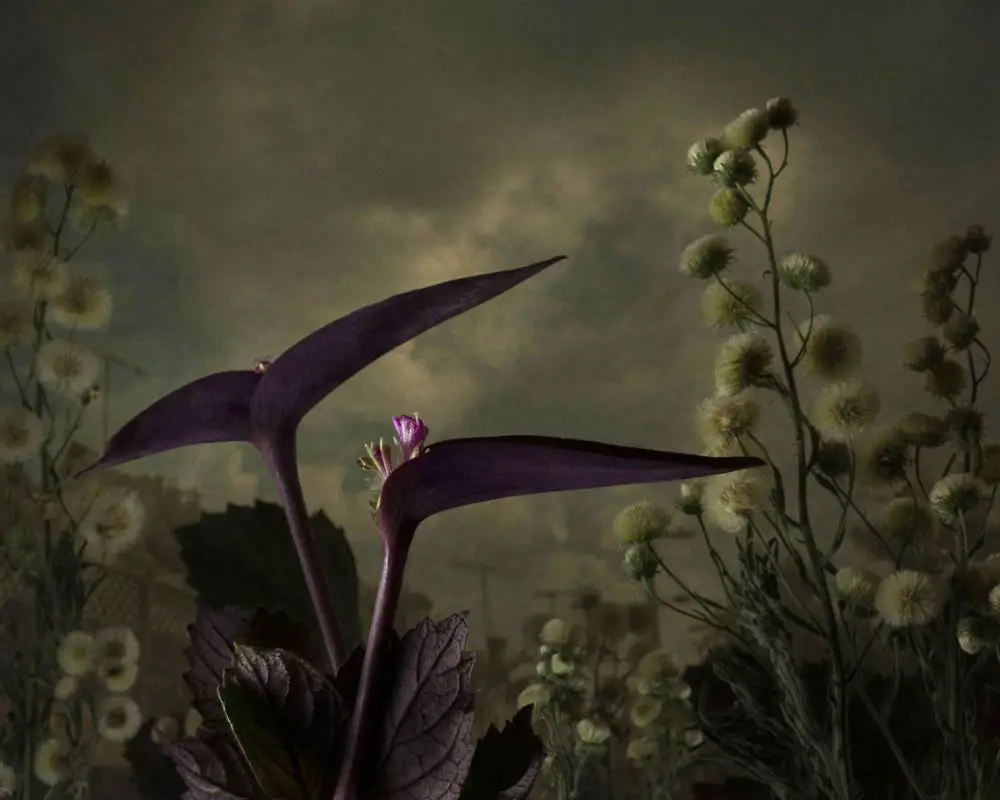 If It's Hip It's Here | The latest in global design and creativity