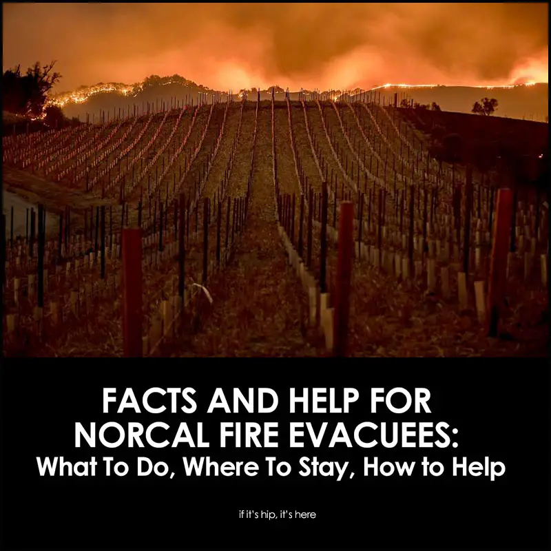 If It's Hip It's Here | The latest in global design and creativity