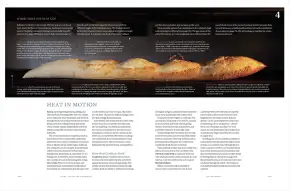 If It's Hip It's Here | The latest in global design and creativity