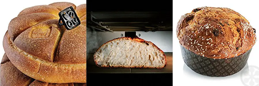 If It's Hip It's Here | The latest in global design and creativity