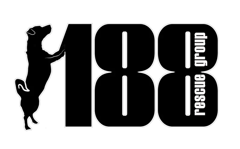 If It's Hip It's Here | The latest in global design and creativity