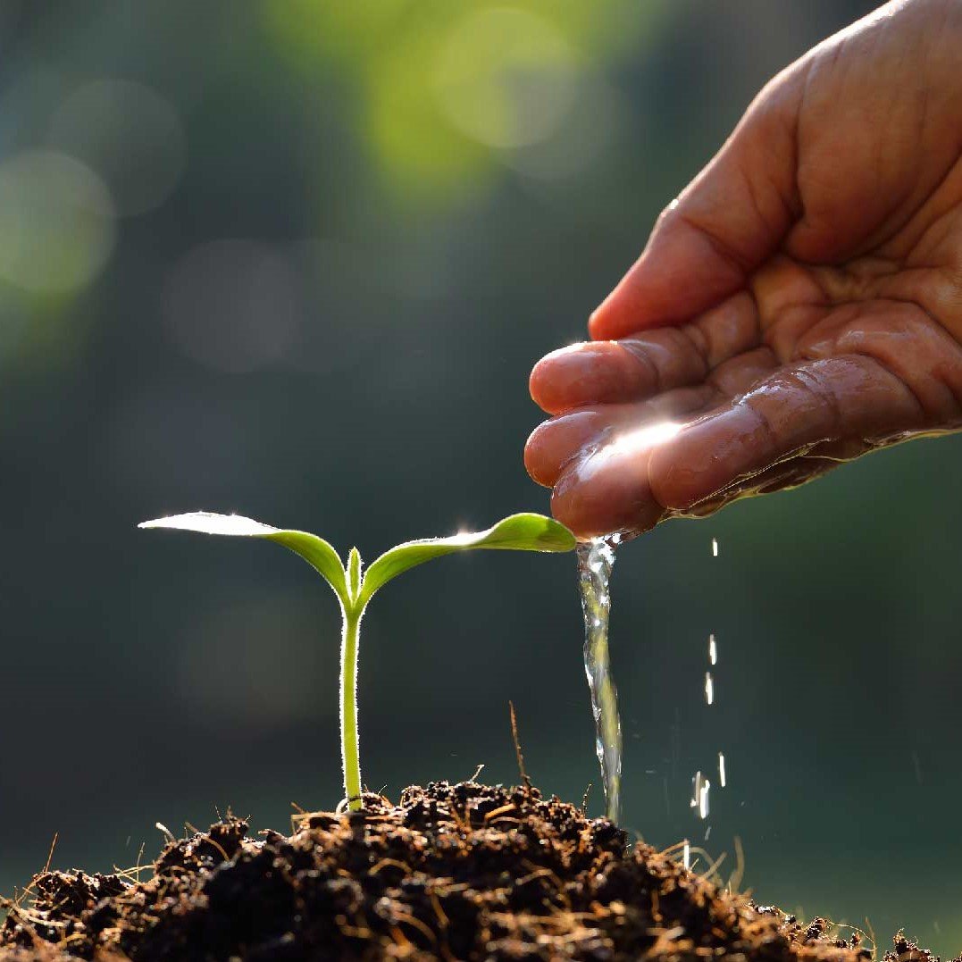 If It's Hip It's Here | The latest in global design and creativity