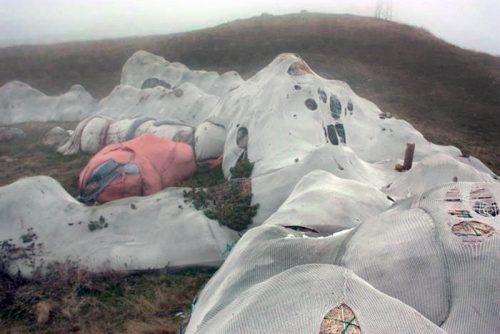 If It's Hip It's Here | The latest in global design and creativity