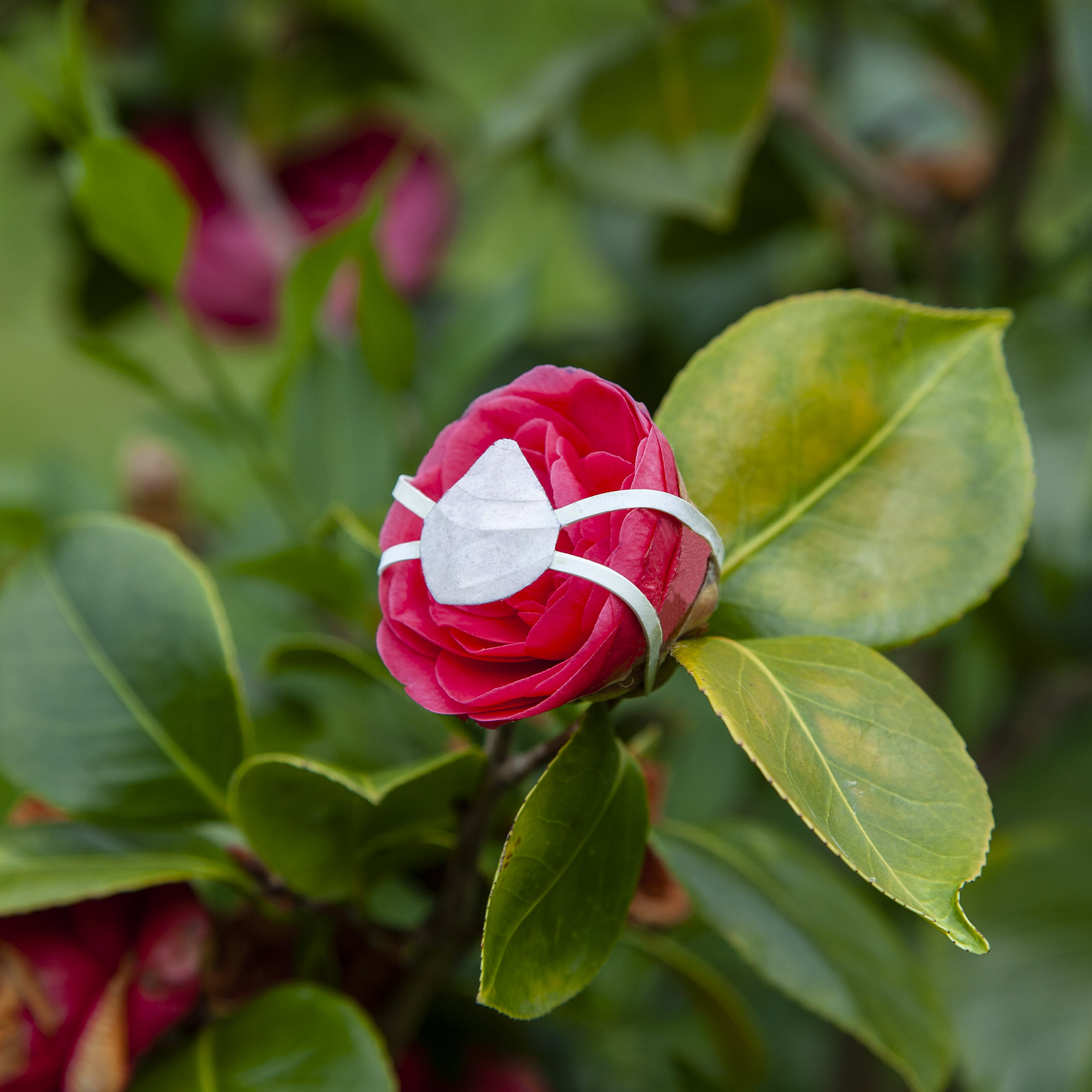 If It's Hip It's Here | The latest in global design and creativity