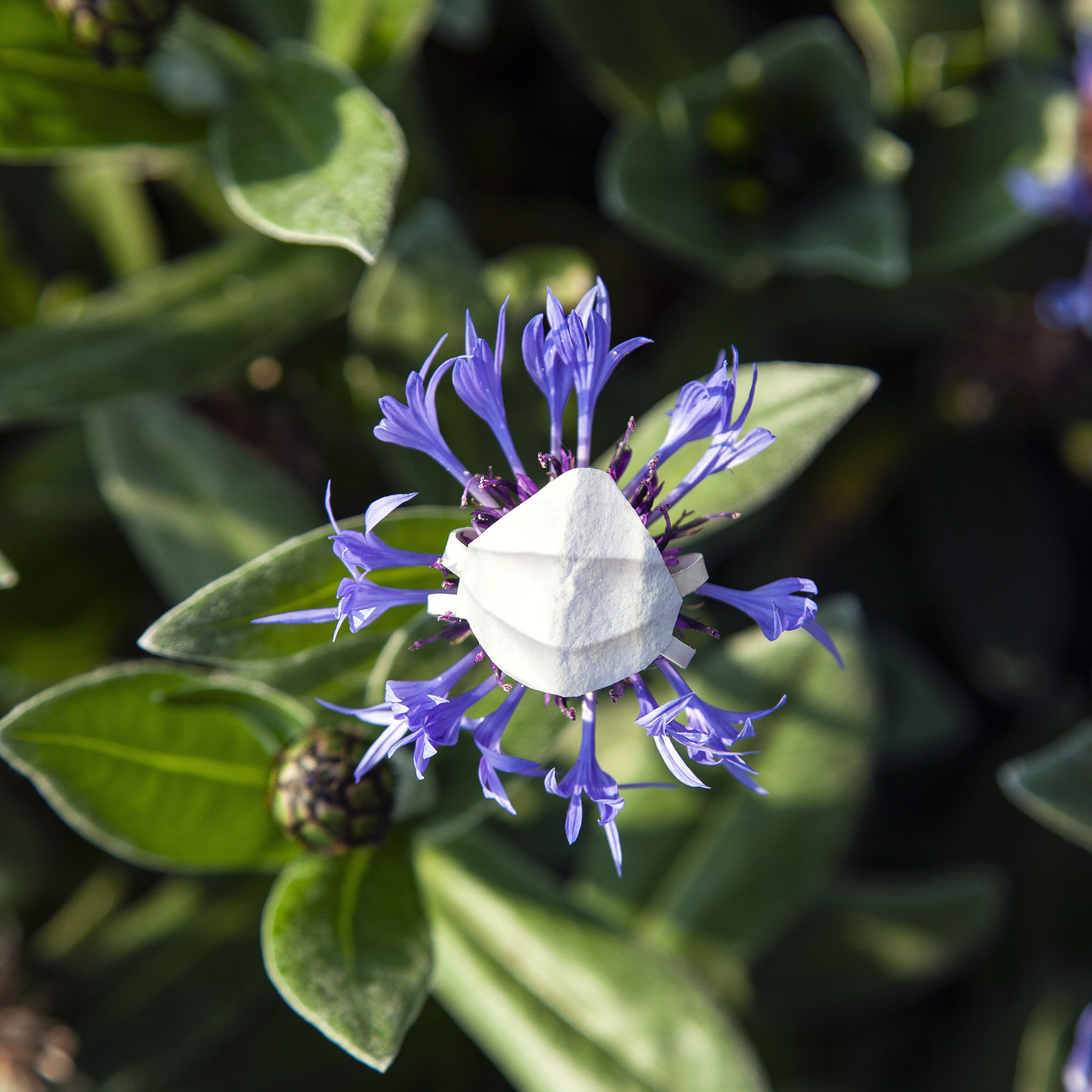 If It's Hip It's Here | The latest in global design and creativity