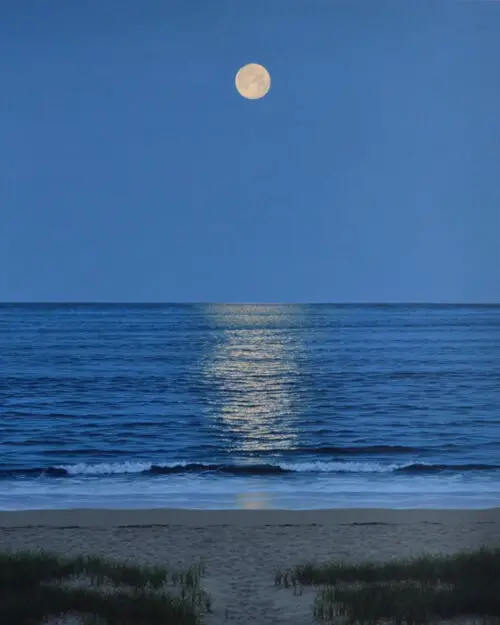 If It's Hip It's Here | The latest in global design and creativity